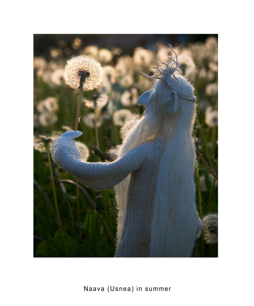 Elf-arkisto – BirdWay